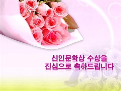 Daum 카페