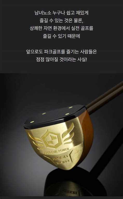 핫딜 히스케이 Hk 150 파크골프세트 딜팡 골프용품 전문쇼핑몰
