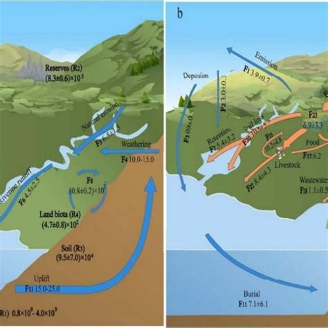 3 A Schematic Representation Of The Global Phosphorus Cycle Yuan Et Download Scientific