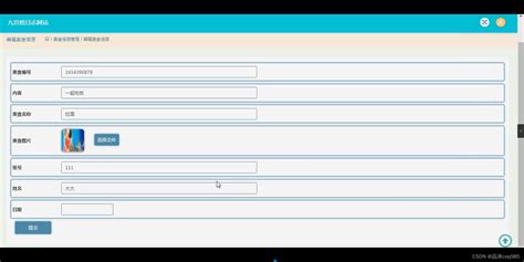 附源码 Java毕业设计九宫格日志网站（系统lw）