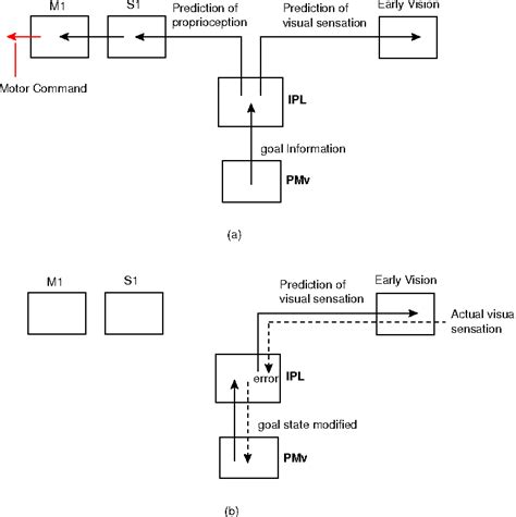 Figure 1 From Achieving Organic Compositionality Through Self Organization Reviews On Brain