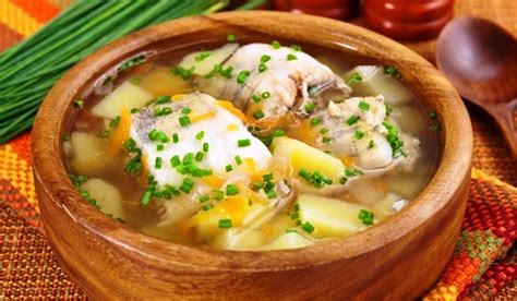 Уха из судака рецепт приготовления ухи из речной рыбы