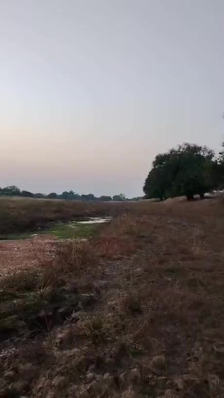 Ant Bridge Album On Imgur