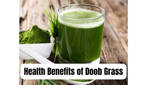 Health Benefits Of Doob Grass How Doob Grass Is Effective In Weight