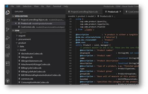 Sap One Domain Model The Lingua Franca Of The In Sap Community