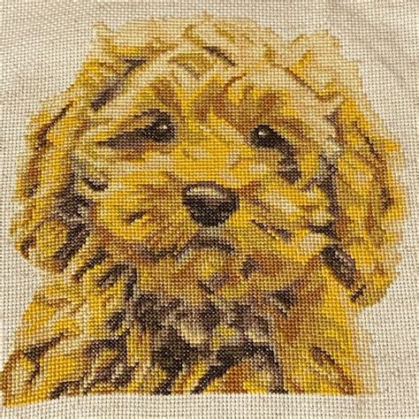 Cockapoo Cross Stitch Pattern Digital Format Pdf Dog Portrait Cross