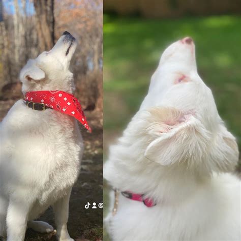 Wten Wten Added A New Photo