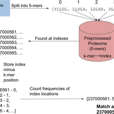 Exact Matching Search Protocol The Query Peptide Is Split Into Download Scientific Diagram