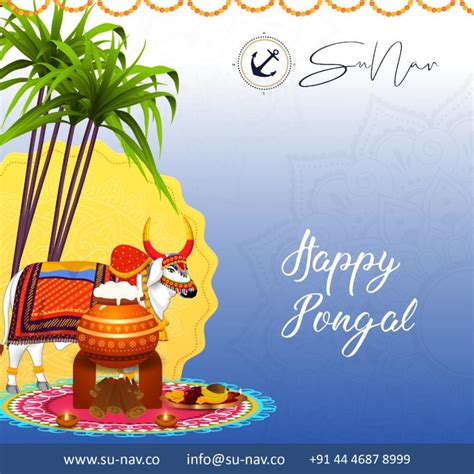 Su Nav Group On Linkedin Festivalsofindia