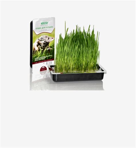 Для кошек — купить в интернет-магазин ОНЛАЙН ТРЕЙД.РУ