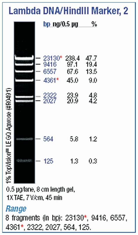 Thermo Scientific™ Lambda Dna Hindiii Marker 0 5μg μl 25 X 50μg Thermo Scientific™ Lambda Dna