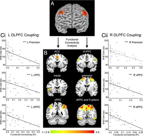 Flexible Attentional Control Depends On The Integrity Of A