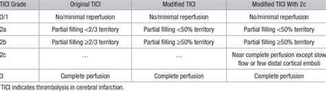 Comparison Of The Existing Tici Grading Scale Criteria Download Table