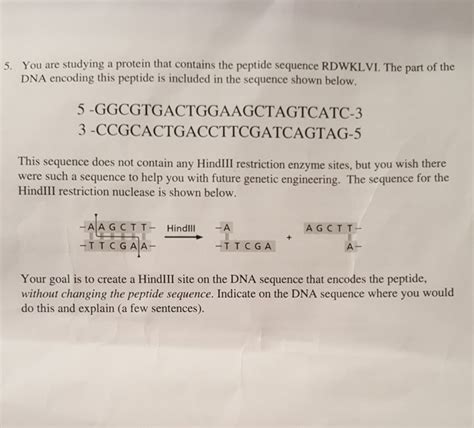 Solved You Are Studying A Protein That Contains The Peptide Chegg Com