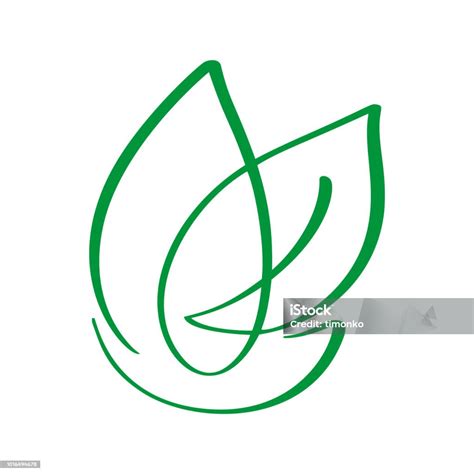 채식 녹색 잎 자연 벡터 로고 템플릿 디자인 서 예 그림 음식 디자인 레스토랑 카페 원시 메뉴에 대 한 글자 손으로 라벨 로고 배지 스티커 또는 아이콘에 대 한 요소 0명에