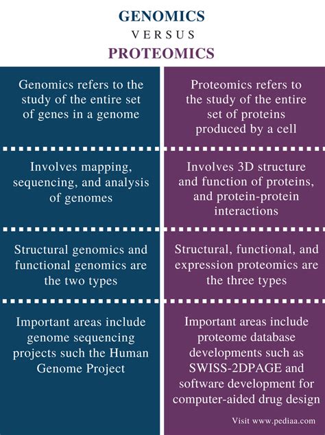 Difference Between Genomics And Proteomics Pediaacom