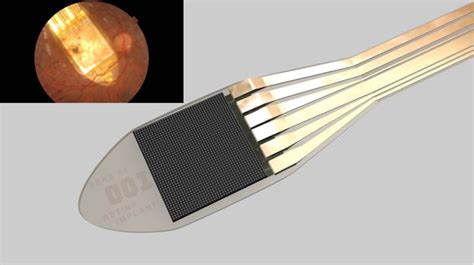 DC Motor Control With Raspberry Pi Raspberry PI Projects