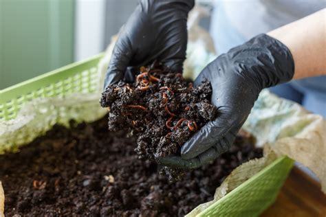 Methods Of Introducing Composting To The Workplace Alpha Environmental