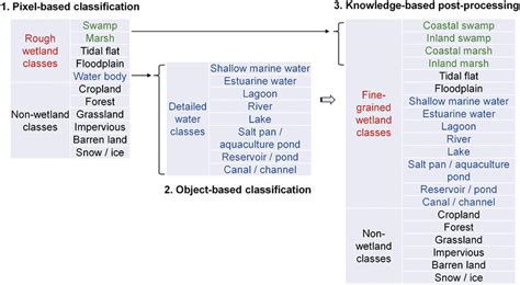 The Conception Of The Multi Stage Wetland Classification Download Scientific Diagram