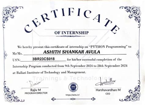 python internship programming softwaredevelopment learningbydoing