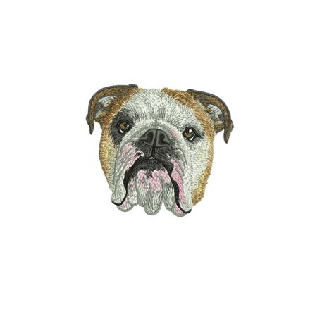 Liaqat Ali On Linkedin Recently Done It For My Client