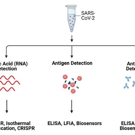 Schematic Illustration Of Sars Cov 2 Detection Systems Created With