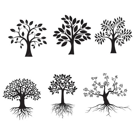Premium Vector Trees Silhouettes Forest And Park Pines Firs And