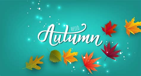 가을 손 문자 텍스트입니다 밝은 단풍과 텍스트 공간 벡터 배경입니다 카드 배너 템플릿 웹 포스터에 적합합니다 가을 광고 디자인입니다 0명에 대한 스톡 벡터 아트 및 기타