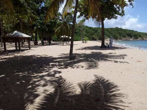 20 Best Beaches In Basse Terre Island Guadeloupe Ultimate Guide