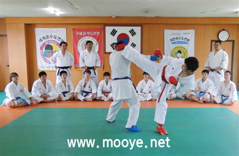 공수도대표팀 동아시아대회 출전 준비 완료 무예신문 1등 무예체육뉴스