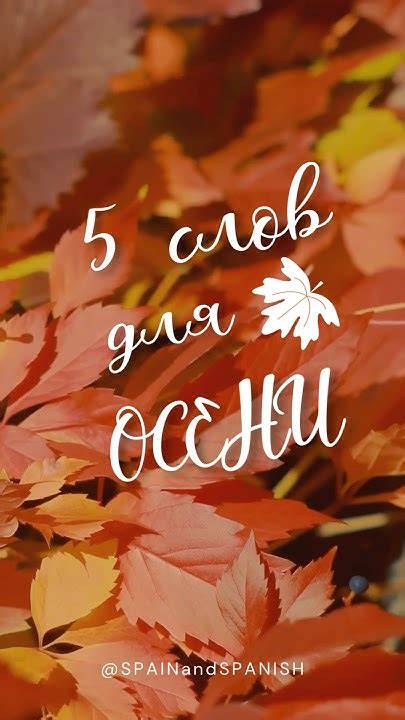 Осенние слова в Испанском 🍁 5 Слов которые услышь на улицах Испании этой осенью Youtube