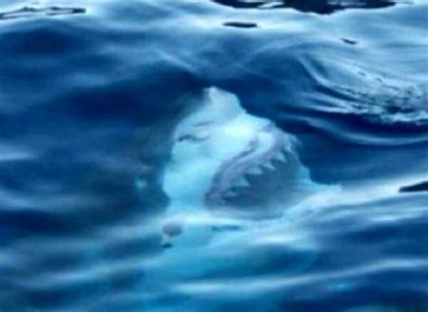 15 Scary Ocean Pics That Prove Deep Waters Can Be A Terrifying Place