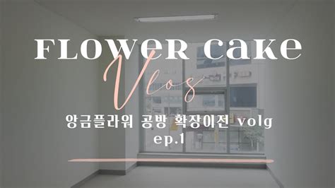 Volg Ep1 앙금플라워떡케이크 공방 확장이전 떡공방 사장일상 창업과정 인테리어 과정 Youtube