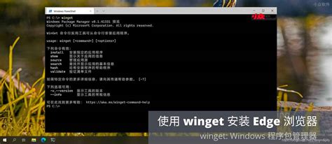 Windows 程序包管理器 Wingetwinget Com Server Csdn博客