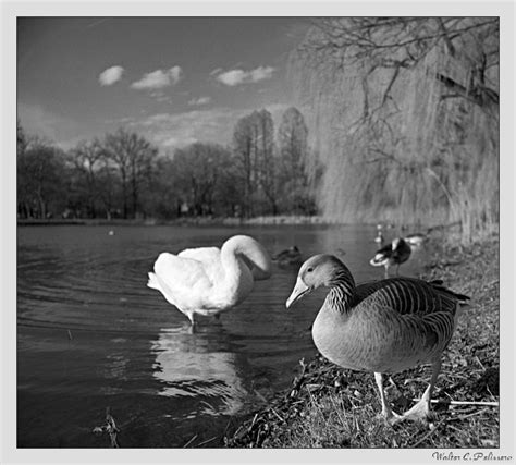 Common Lisp Object System Junglekeyfr Wiki