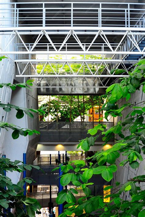 Plantas Que Crecen En Edificios Foto Premium