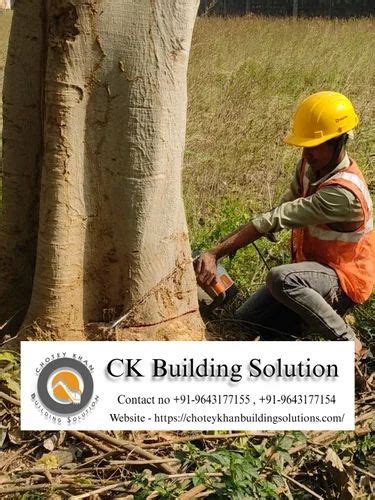 Tree Cutting Service In Delhi At Best Price In New Delhi ID 2849549845855