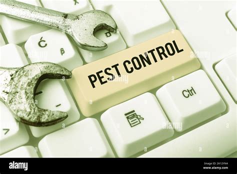 Inspiration Showing Sign Pest Control Business Idea Killing