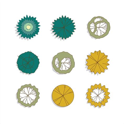 Vector Tree Set Tree Plan Hand Drawn Sketch On White Background