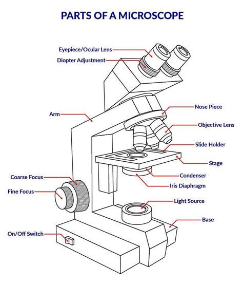Microscope Diagram Labeled Unlabeled And Blank Parts Of A Microscope Artofit