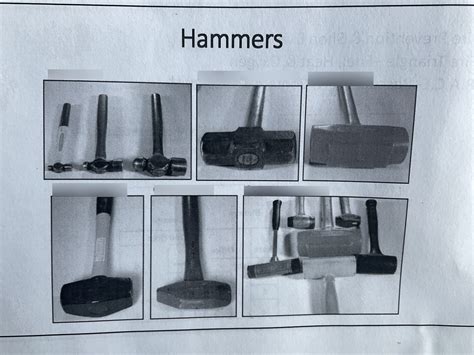 Hammers Diagram Quizlet