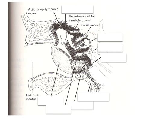 303 Quiz 5 Diagram Quizlet