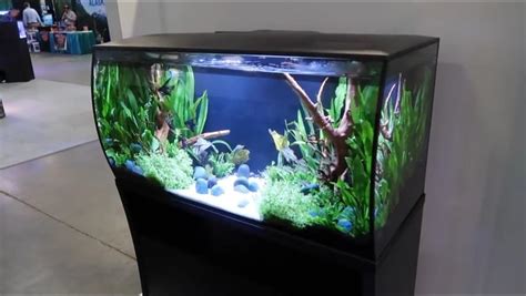 162 Best Fluval Flex Images On Pholder Aquariums Planted Tank And