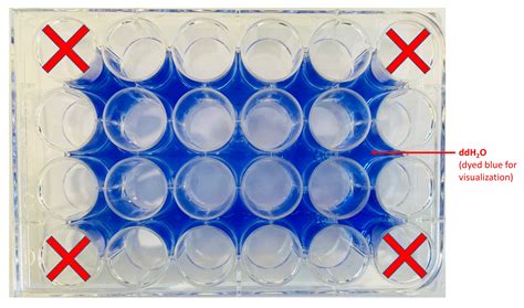 Video Single Particle Interferometric Reflectance Imaging Characterization Of Individual