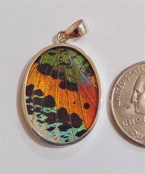 Butterfly Wing Jewelry Real Butterfly Butterfly Wing Pendant