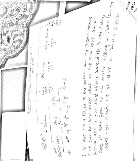 Bio Prelab Phylogenetic Trees POLY Lou Hw Us Vy Tv Bv MS NY Om Poy BIND Sus Su