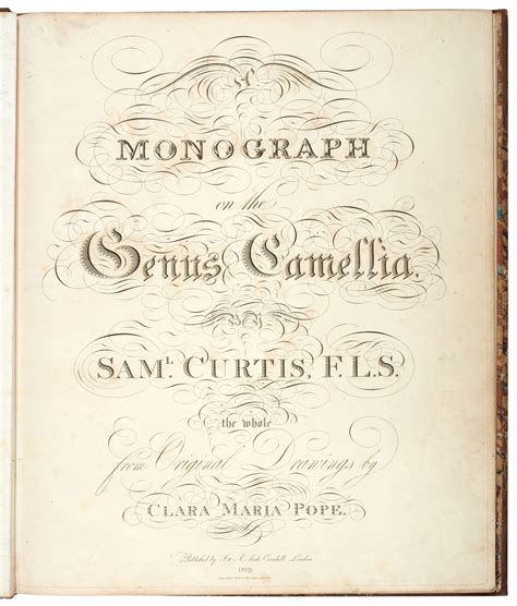 Clara Maria Pope A Monograph Of The Genus Camellia 1819 Mutualart