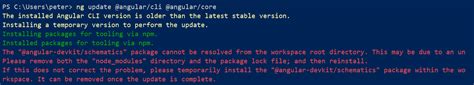 Can T Update Complete Because Of That Ng Update Angular Cli Angular Core Next Issue