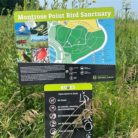 Montrose Point Bird Sanctuary All You Should Know Before Going 2026