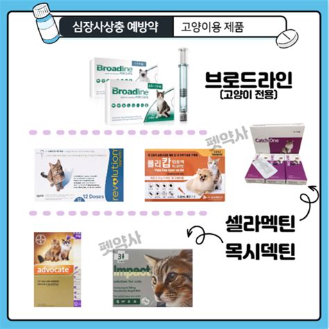고양이 심장사상충약 종류 사용방법 부작용 가격 레볼루션 애드보킷 브로드라인 폴리캅 캐치원 임팩트 등 네이버 블로그
